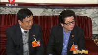 在皖全国人大代表 认真履职积极提交议案建议 130313