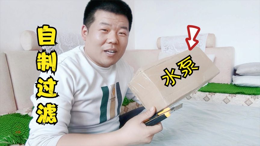 鱼缸自制过滤,给兰寿金鱼改善环境,操作步骤很简单