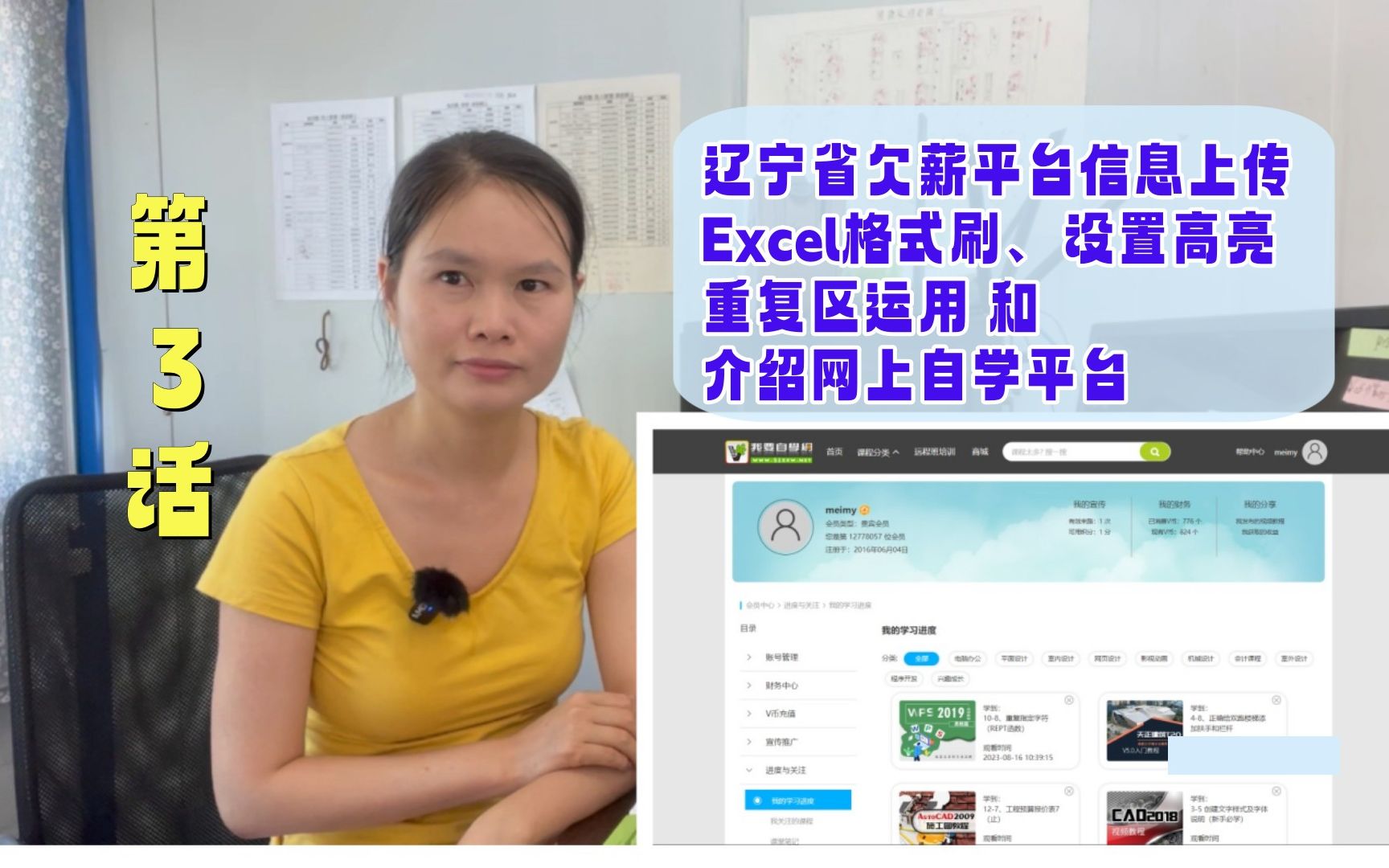第3话-辽宁省欠薪平台信息上传 、Excel格式刷、高亮重复区运用和...