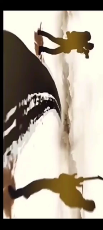 #挑战杯#河北省红色文化引领产业转型升级的研究——以保定市为例