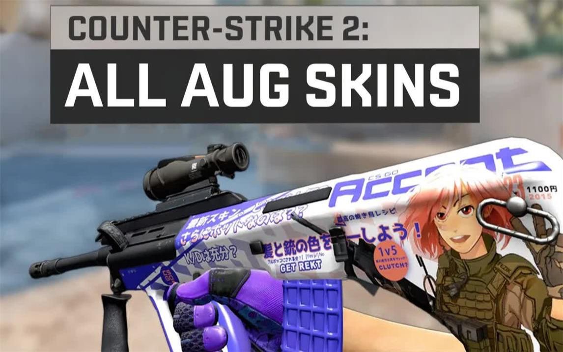【CS2皮肤】AUG - 所有皮肤展示_CSGO