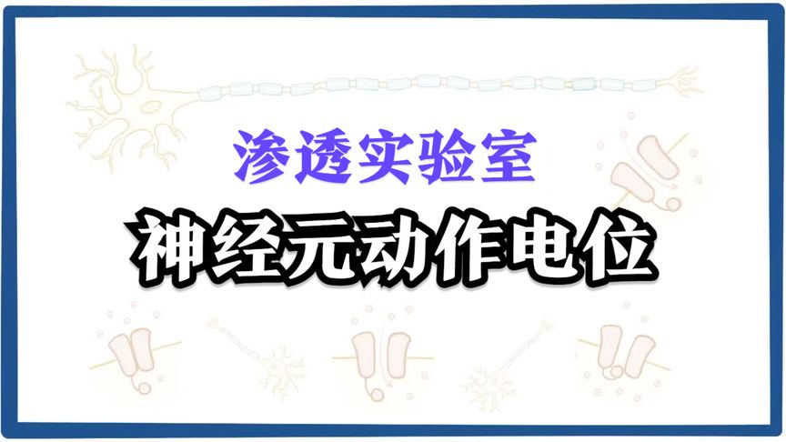 动画演示神经元传递电信号过程,这就是神经元动作电位