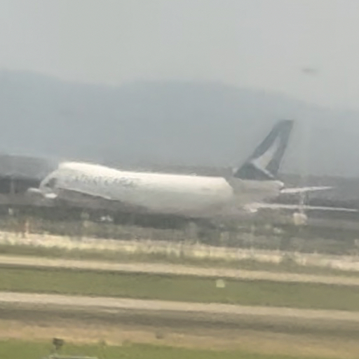 八宝周咯 