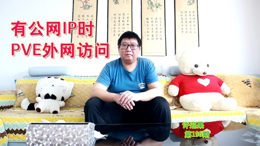 许迎果 第196期 有公网IP时 PVE设置域名访问教程