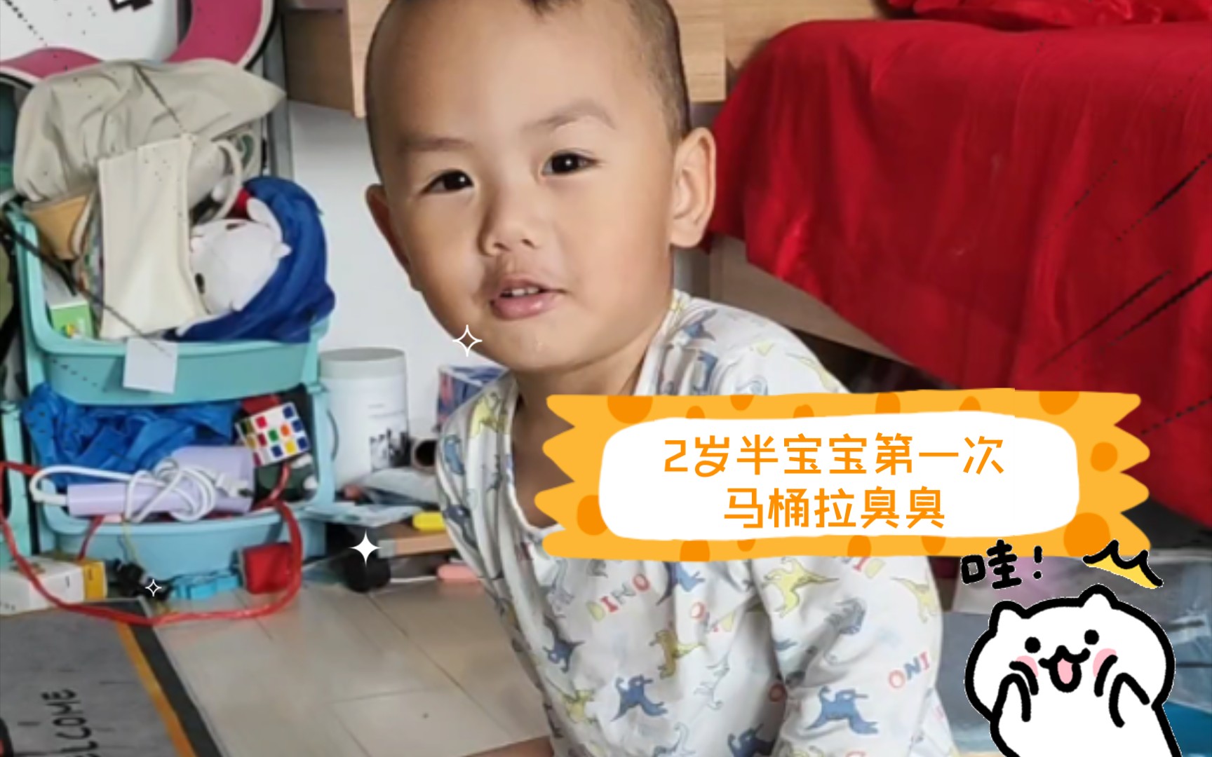 2岁半宝宝第一次马桶拉臭臭