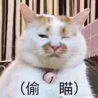 二月三十号还钱 