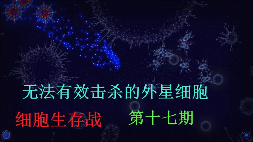 微生物世界：细胞生存 实况解说流程视频 第十七期