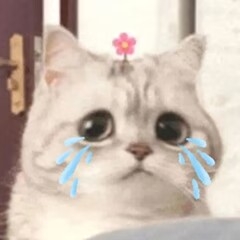 Mooncatmeow 