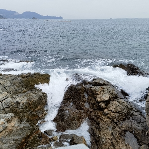 吟诵我的名 