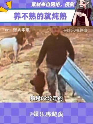 叨一口命倒计时两分钟 #搞笑 #内容启发搜索 #萌娃日常