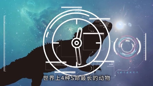 世界上寿命最长的4种动物