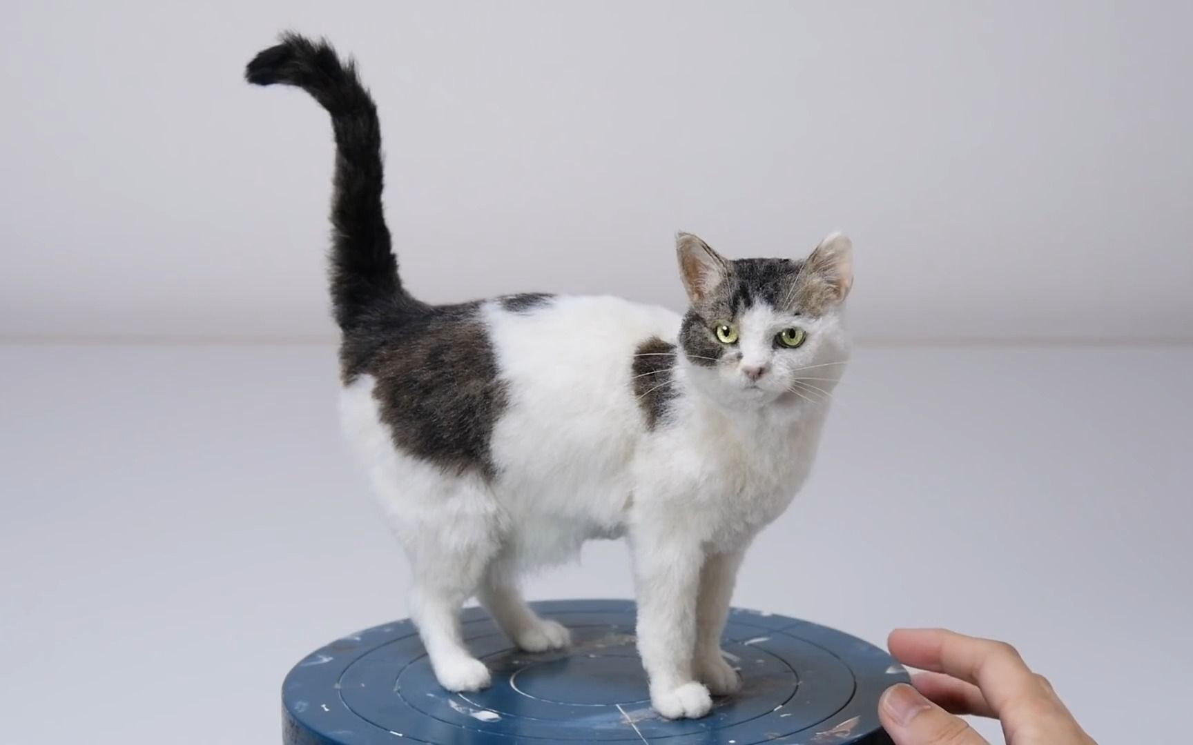 羊毛毡猫咪(转自YouTube教程)