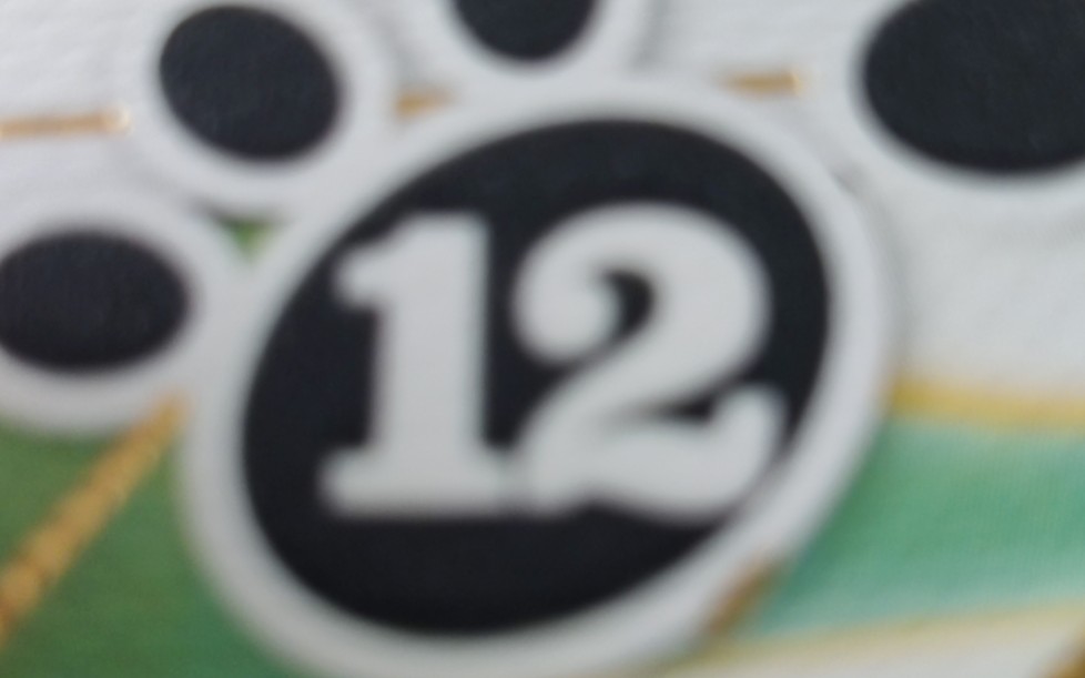 《如果历史是一群猫》12册人物档案:(第一篇)