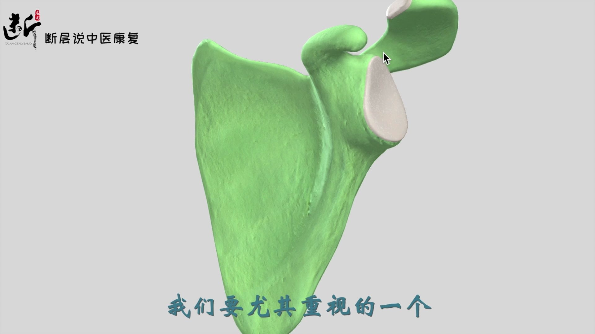 【每日一骨】喙突——肩关节康复的“灯塔”,小小一个点,竟然关联...