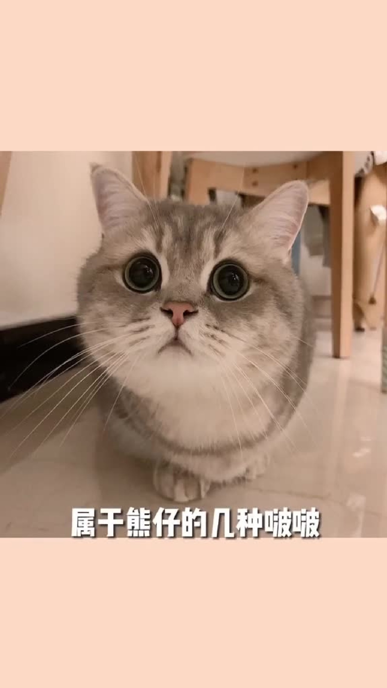 滴滴滴 有人想要小朋友的啵啵吗?!