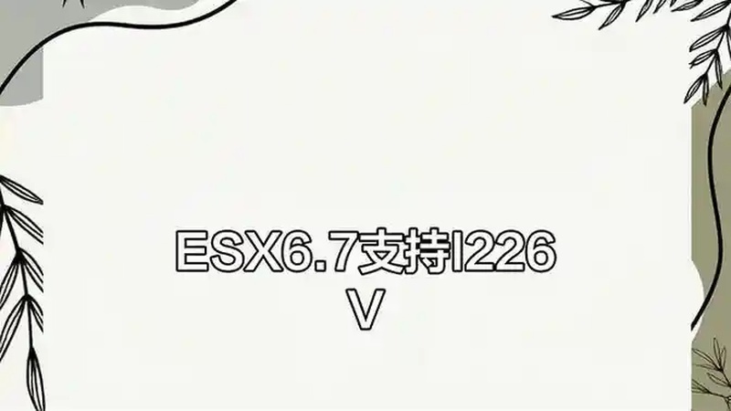 ESXI6.7完美识别I226V 2.5G网卡,无需驱动安装