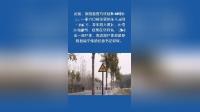 网传河南一镇女纪委书记尸体被意外捞出,系被村干部杀害后