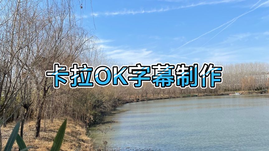 歌词逐行向上滚动的制作过程,新手小白卡拉ok字幕制作实例