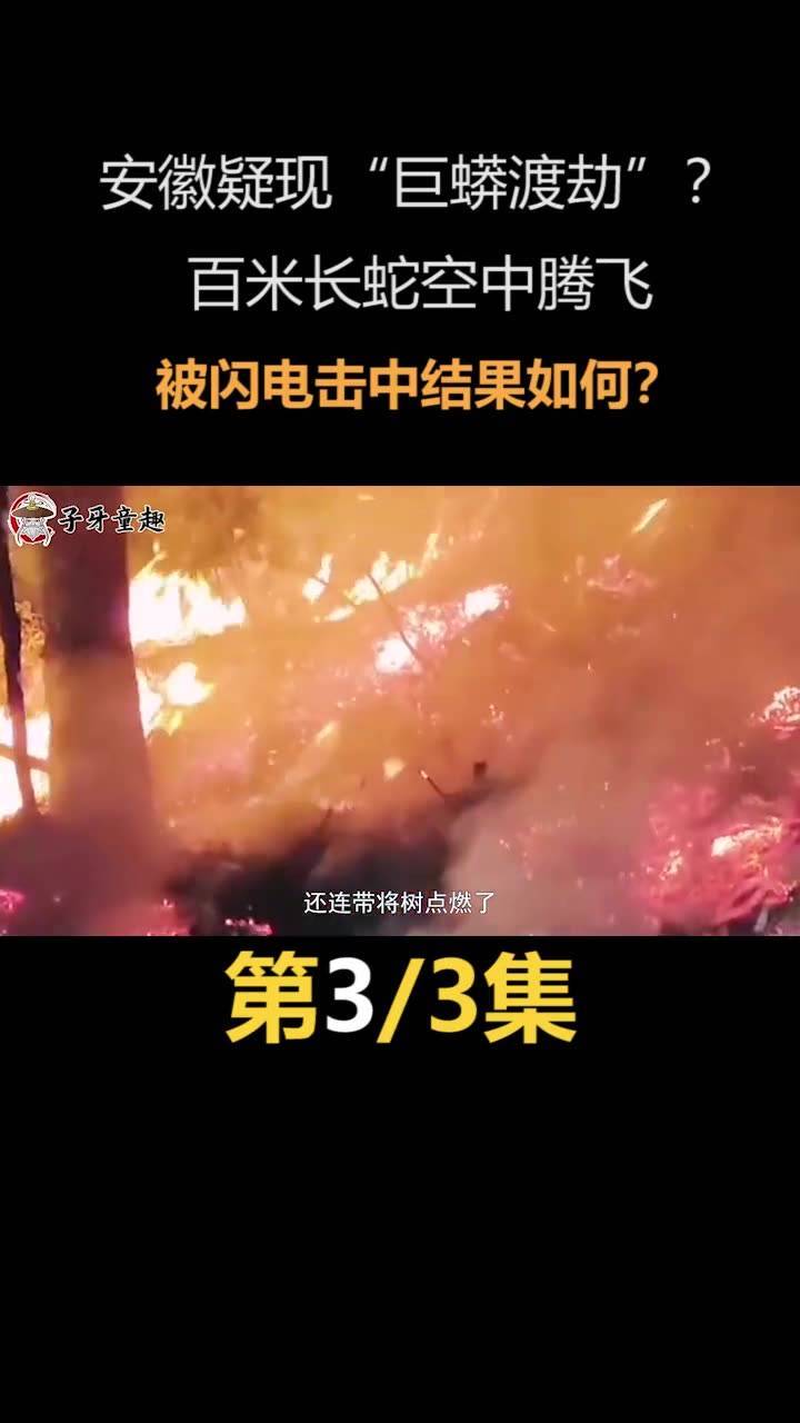 安徽疑现"巨蟒渡劫"3