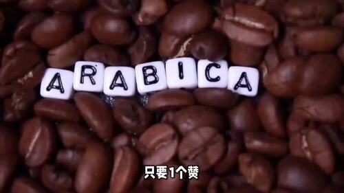 咖啡豆知识普及:教你一眼就能辨识豆子的品种