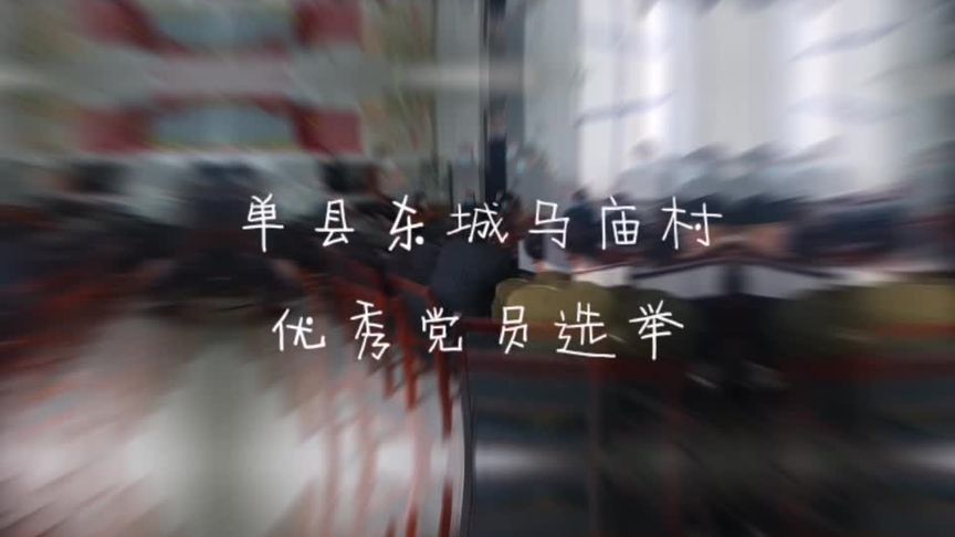 全心全意为人民服务 ,马庙村优秀党员选举会议ߑ�ߑ