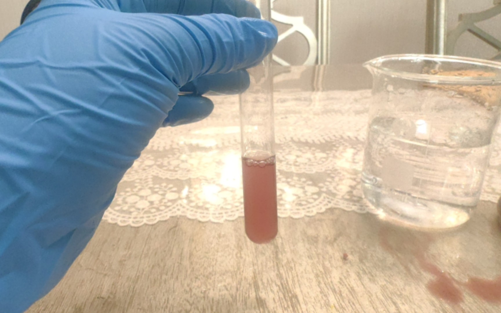 高中选修一生物实验:模拟生物体内维持pH的稳定