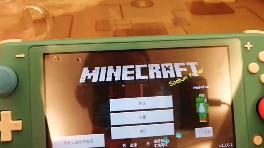 咱们我的世界真牛*!switchlite平台试完