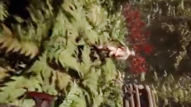 就在刚刚,IGN公布了《森林》续作《森林之子》最新的实机预览,从本次...