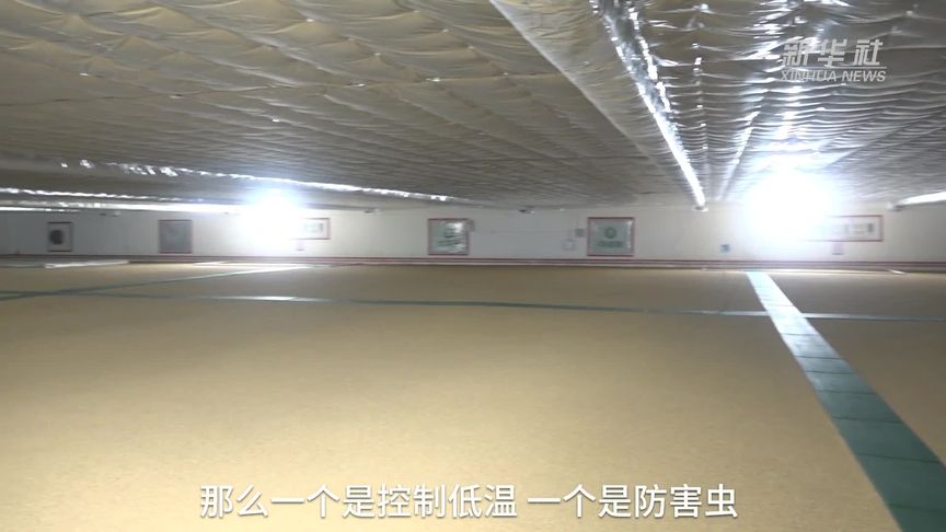 划重点!中央储备粮存储的秘诀是…