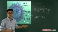 2.2减数分裂与受精作用知识点