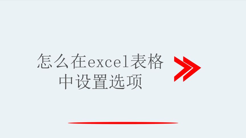 怎么在excel表格中设置选项