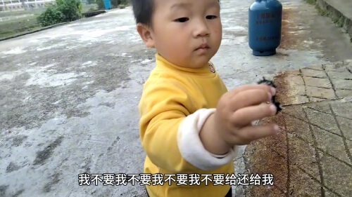 农村人带娃,我们家的男子汉什么都不怕连毛毛虫都敢捉