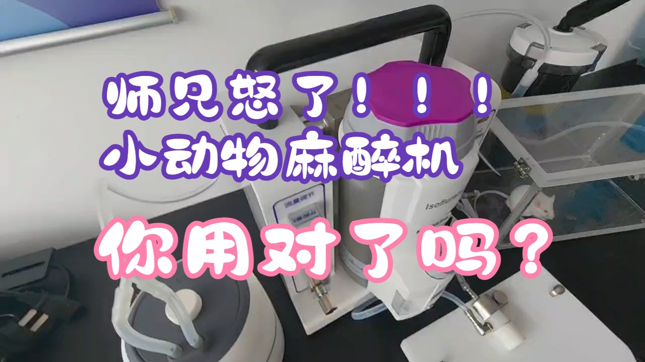 小动物麻醉机的正确使用方式!小鼠一直保持“人间清醒”,原来这样。