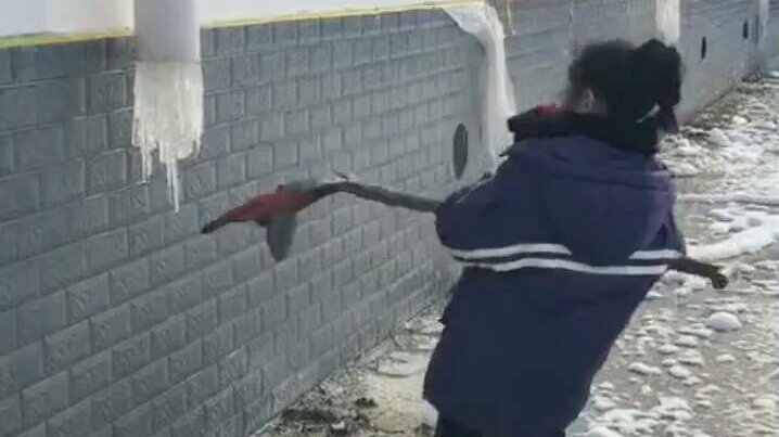 冰冻三尺非一日之寒