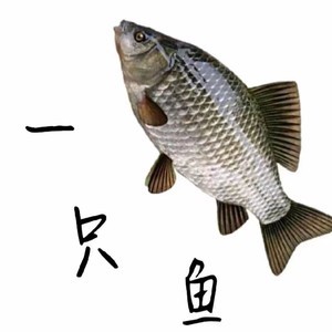 一只鱼钓鱼的技巧
