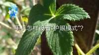 手机怎样设置“护眼模式”