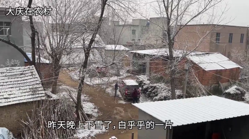 小两口楼上隔离第四天,老妈也开始发烧,一家都成小阳人了