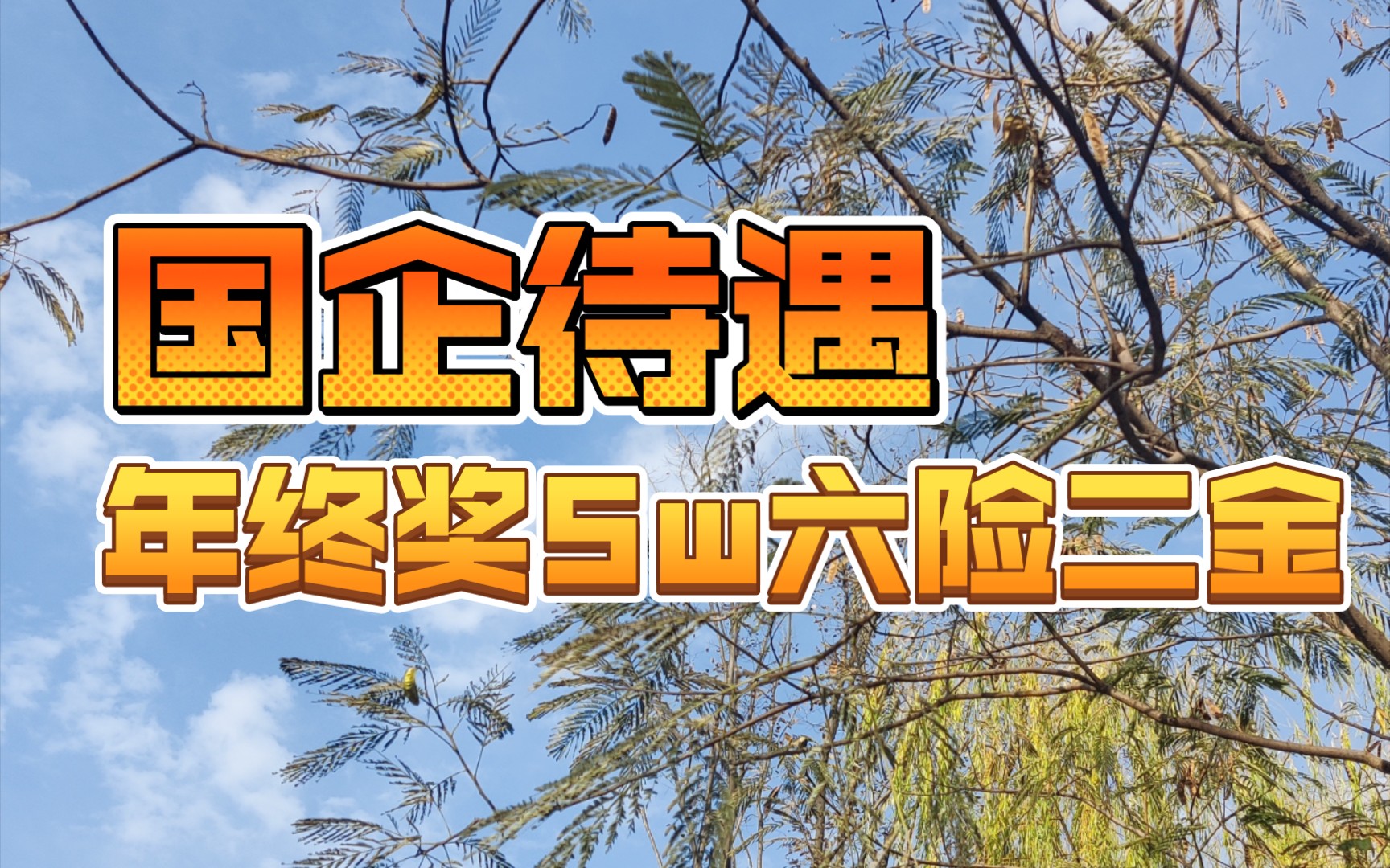 国企专员待遇年薪15w,年终奖5w+
