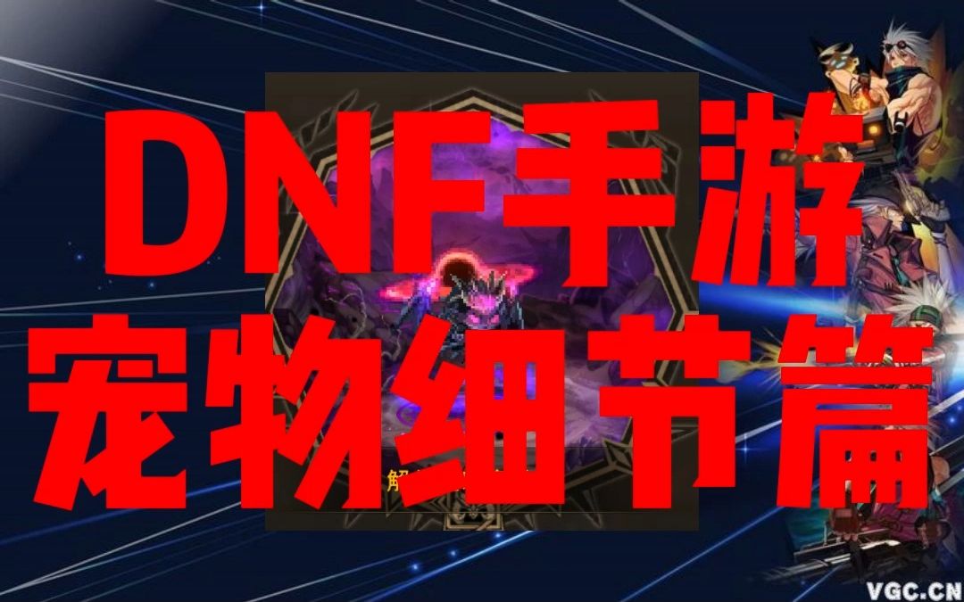 免费宠物获取时钟,还有更多的宠物细节介绍#dnf手游 #八百万勇士 #dnf...