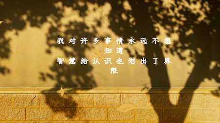 阅读/格言/知识/爱学习/图文/文案/笔记/视频/混剪/模版/必剪app