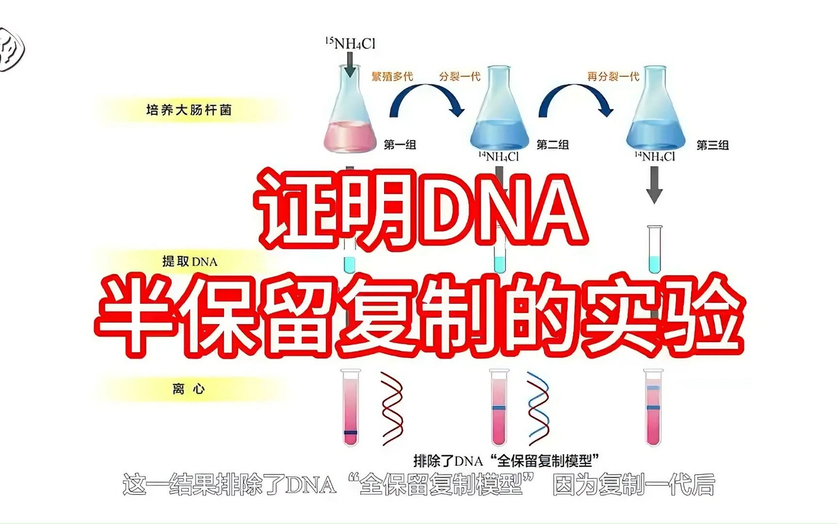 证明DNA半保留复制的实验