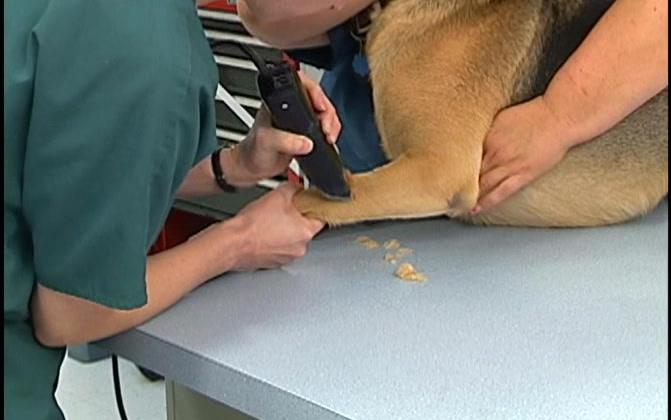 滞留针的临床操作