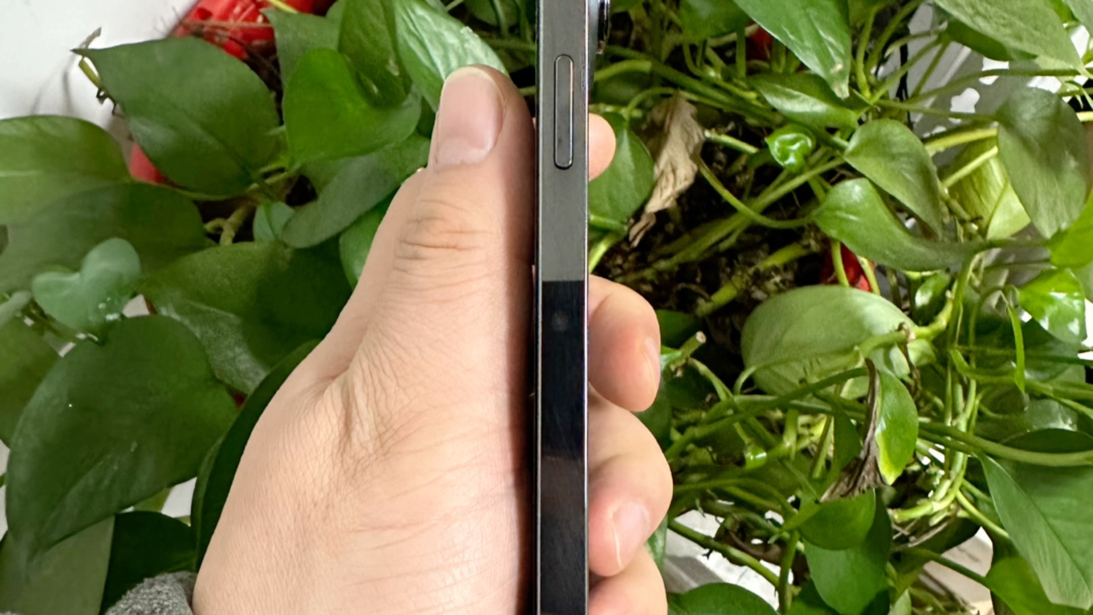 ...G 苹果13 Pro Max 国行双卡全网通5G,确认已过官方保修时间过保机器