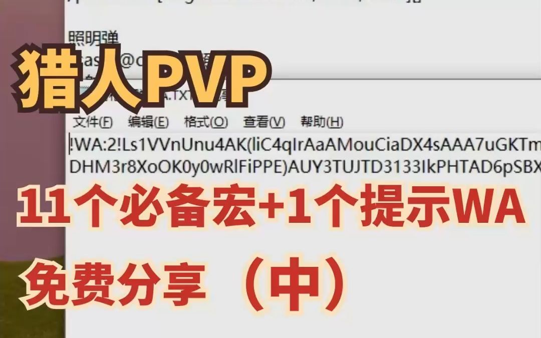 猎人PVP 11个必备宏+1个提示WA免费分享(中)_网络游戏热门视频