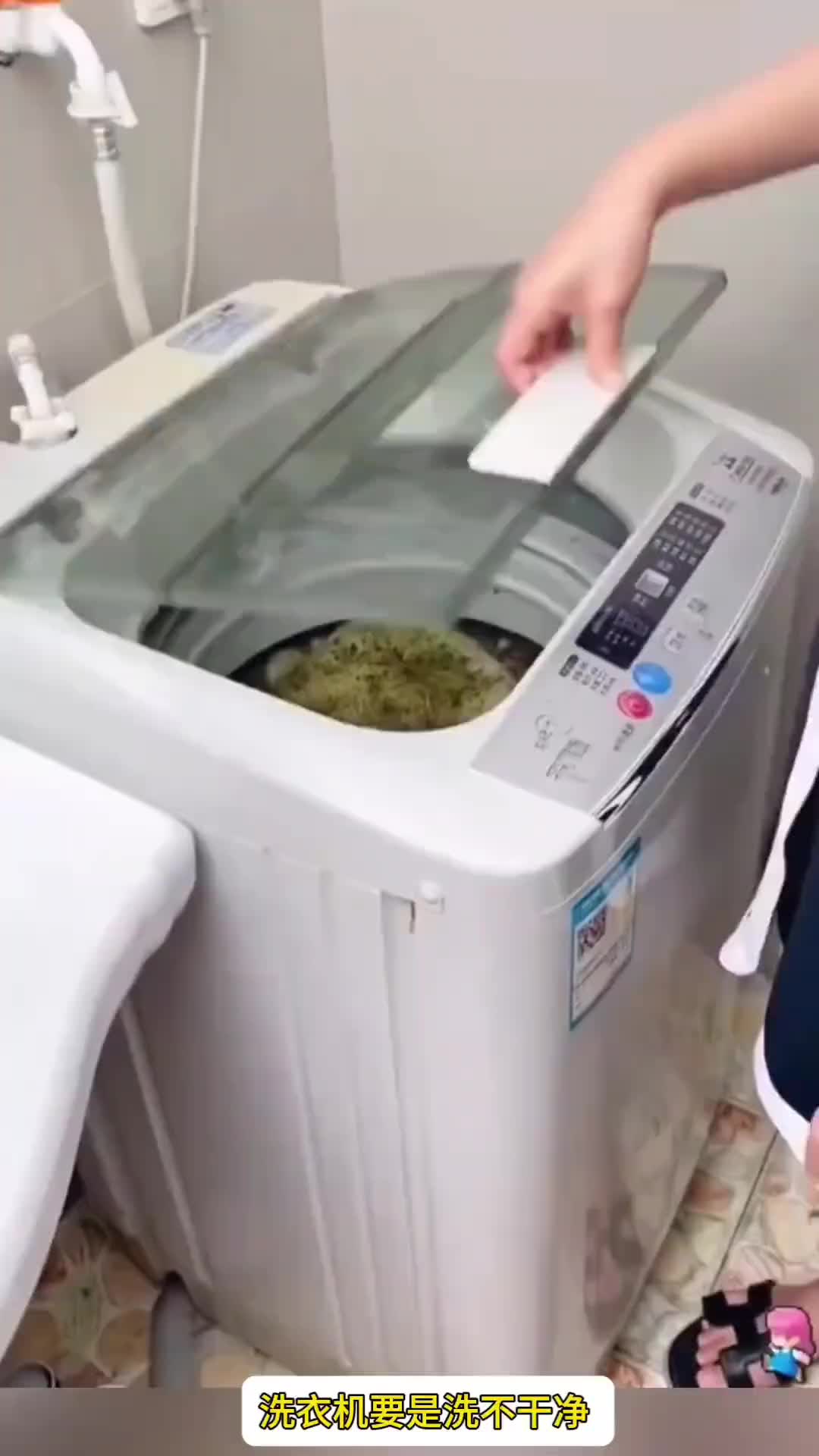 #【新疆包邮】正品洗衣机槽清洗剂养护内腔气味清新除垢除螨#好物 ...