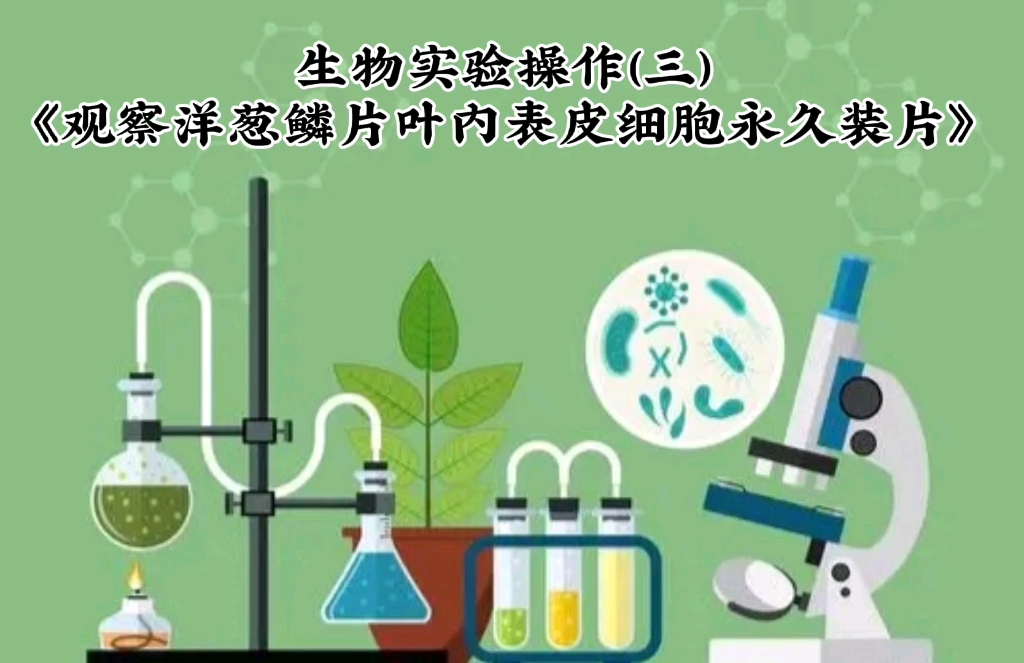 生物实验操作(三)《观察洋葱鳞片叶内表皮细胞永久装片》