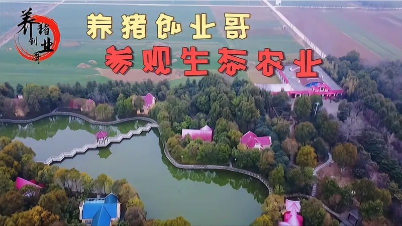养猪创业哥参观现代生态农业,8500亩种养结合加生态旅游,开眼界