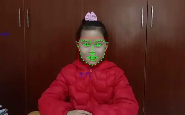 学生表情和情绪识别