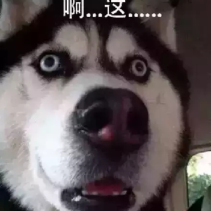 花心的生活回忆 