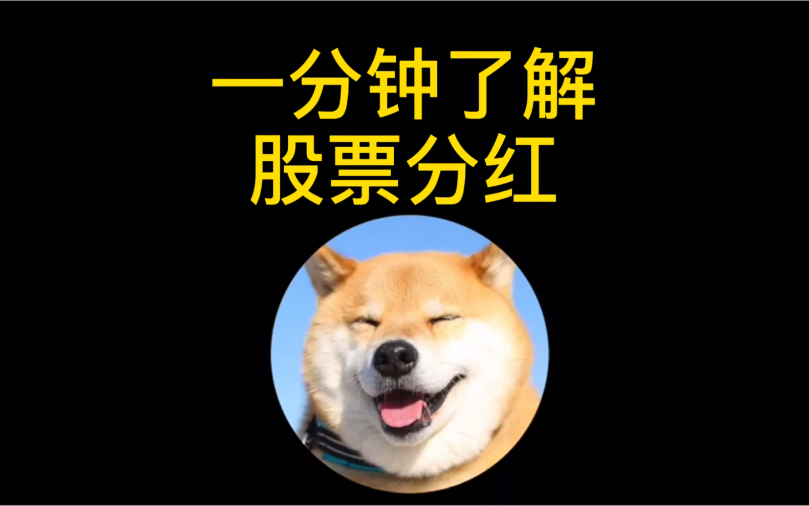 【一分钟讲金融7】股票分红